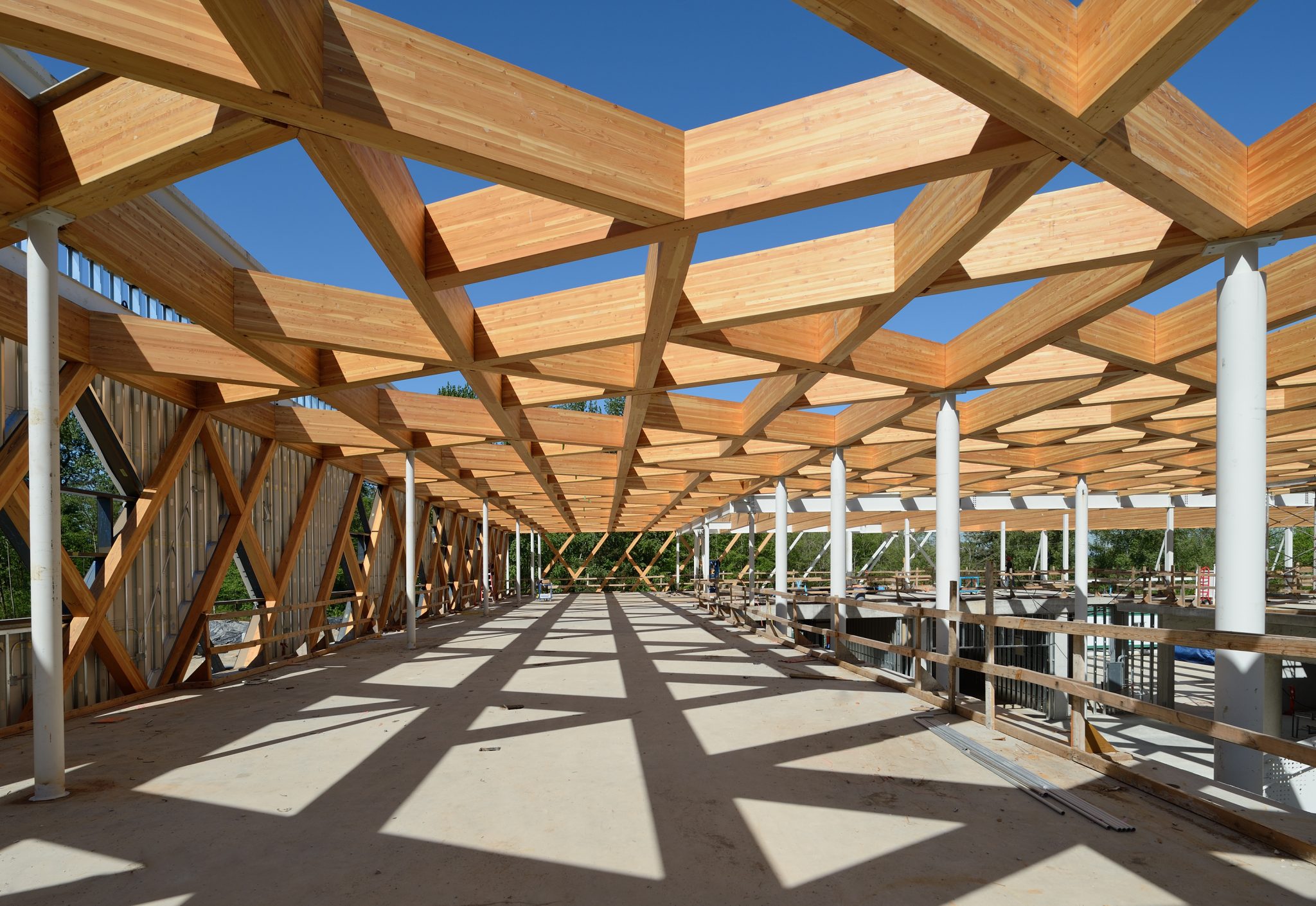 Mass Timber: An Interview with RJC's Leon Plett and Terry Bergen